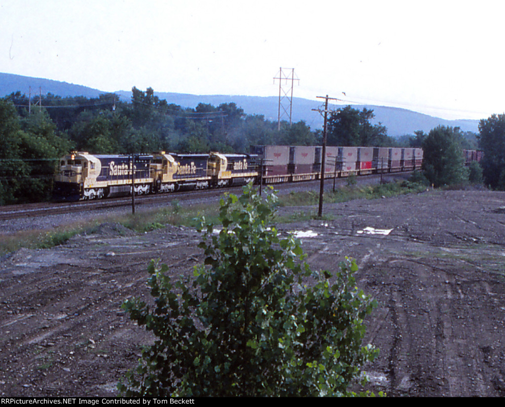 Yellowbonnets roll east